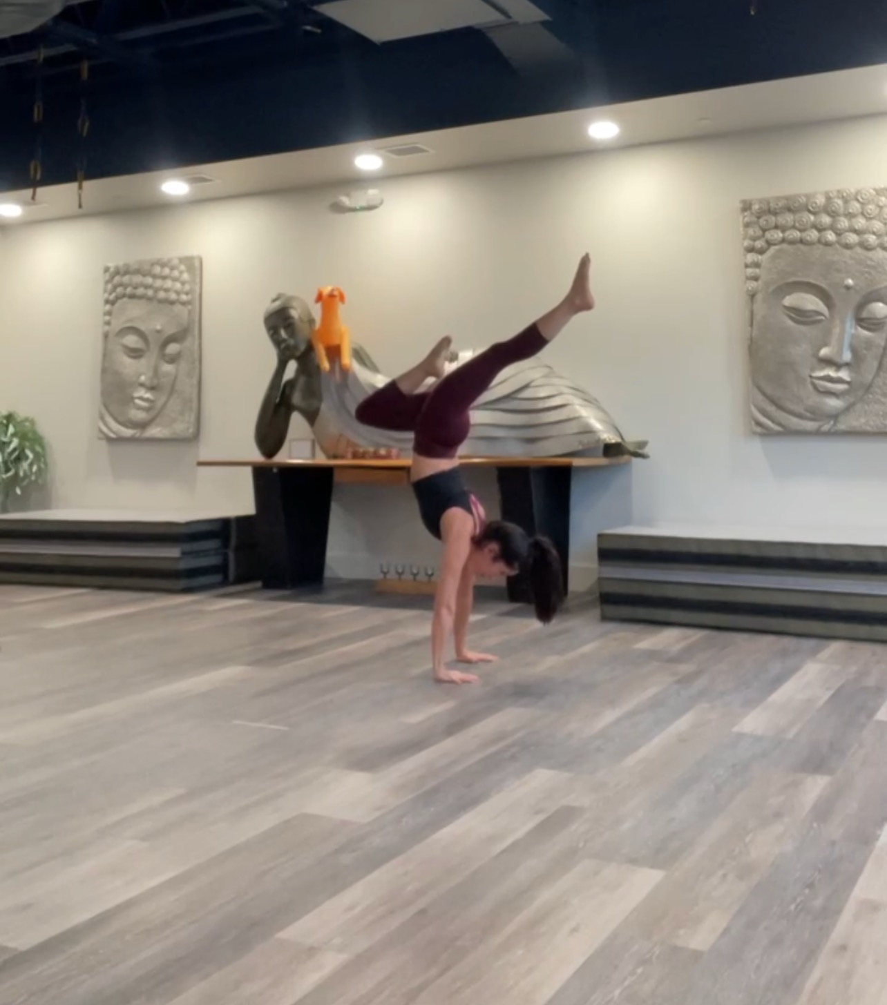 Inversions, Arm Balances, and Backbends – Flying Buddha Studio
